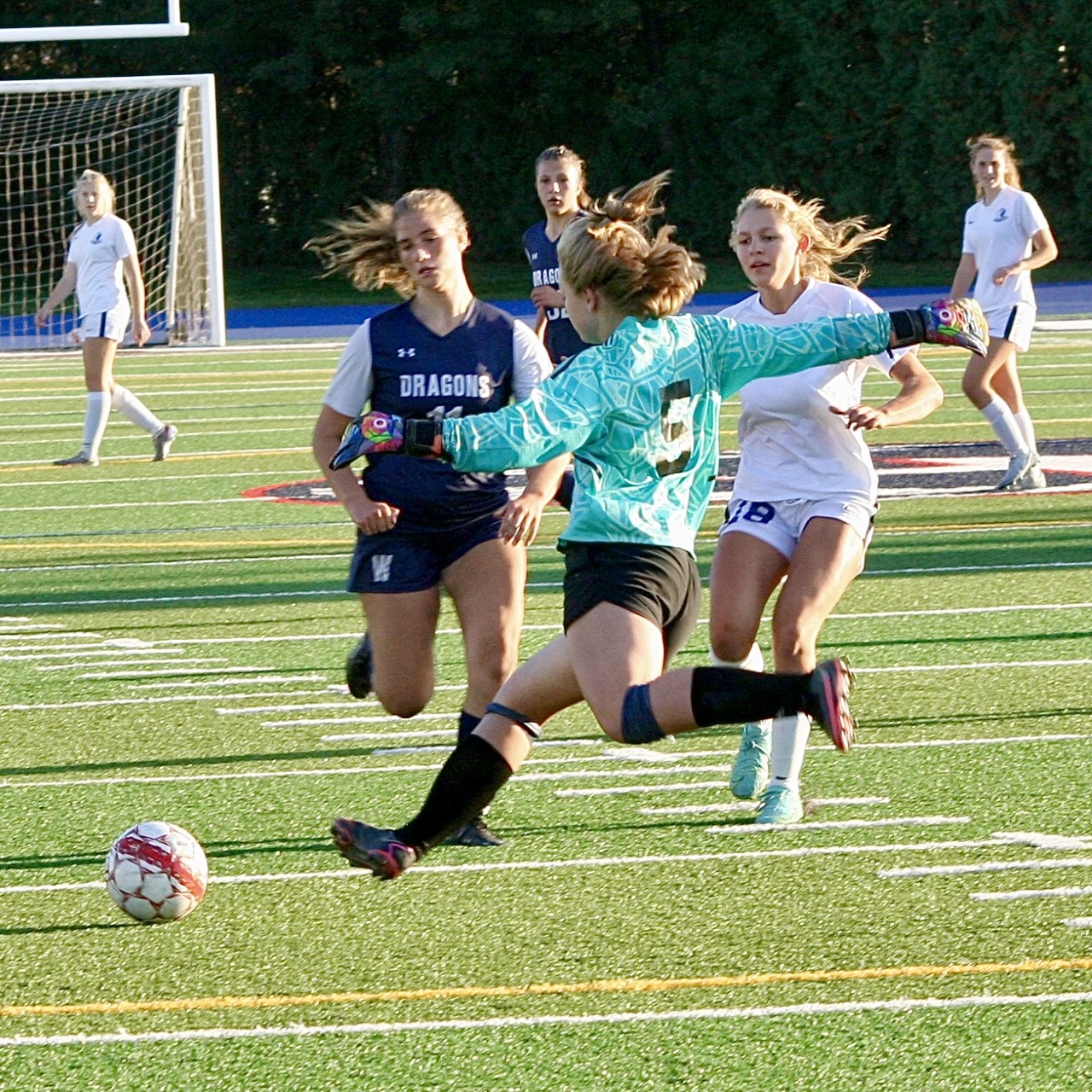 Dragons fall to McDowell 5-0 | News, Sports, Jobs - Times Observer